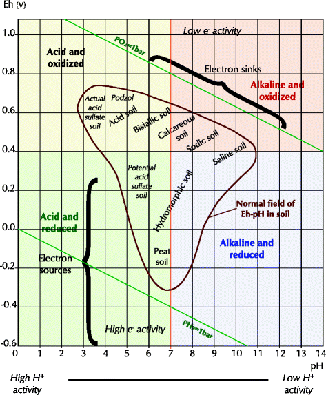 Redox potential (Eh) and pH as drivers of soil/plant/microorganism ...