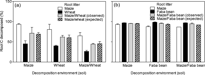 Intercropping affects the rate of decomposition of soil organic matter ...