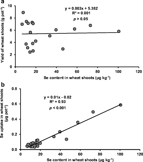 Selenium Rich Dissolved Organic Matter Determines Selenium Uptake In Wheat Grown On Low Selenium