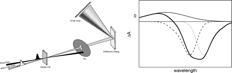 Ultrafast transient absorption spectroscopy: principles and application ...