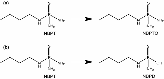The molecular processes of urea hydrolysis in relation to ammonia ...