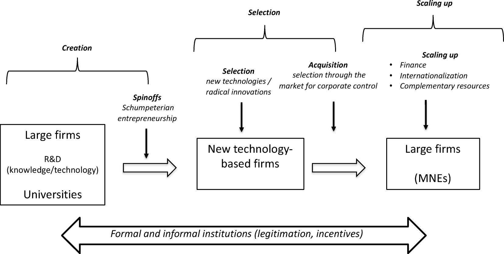 Entrepreneurial experimentation: a key function in systems of ...