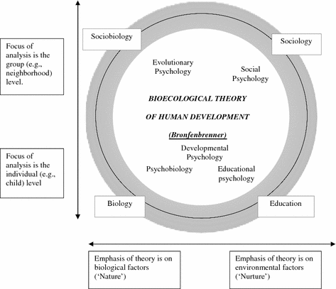 Bioecological Theory, Early Child Development and the Validation of the ...