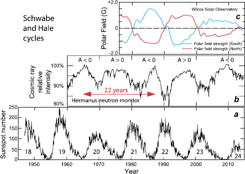 Introduction to the Solar Activity Cycle: Overview of Causes and ...