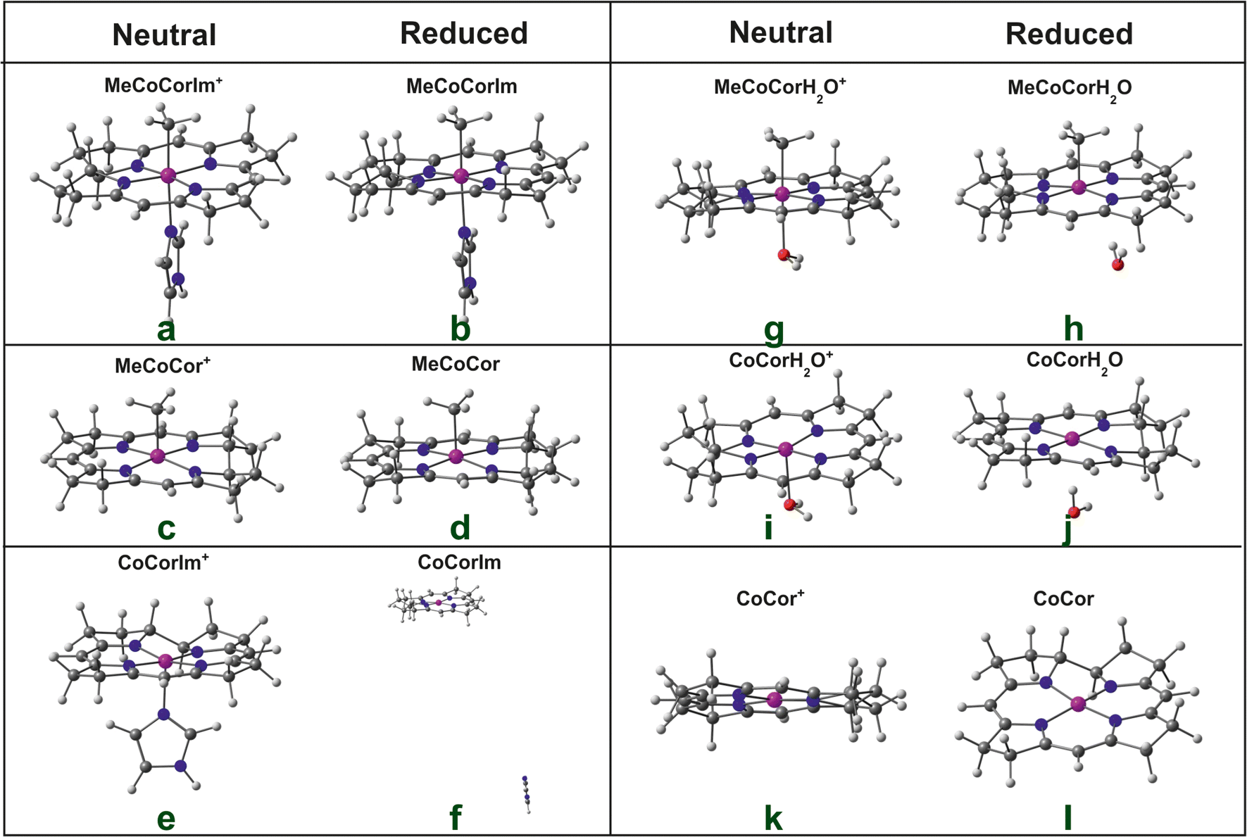 Theoretical study of cobalt and nickel complexes involved in methyl ...