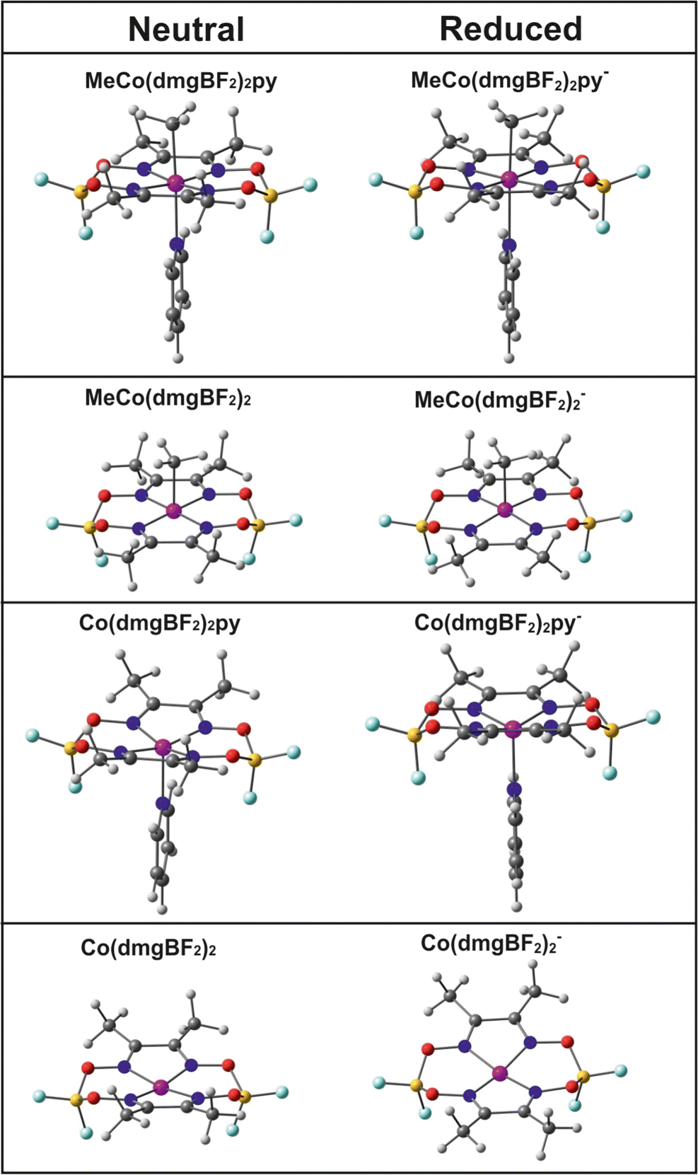 Theoretical study of cobalt and nickel complexes involved in methyl ...