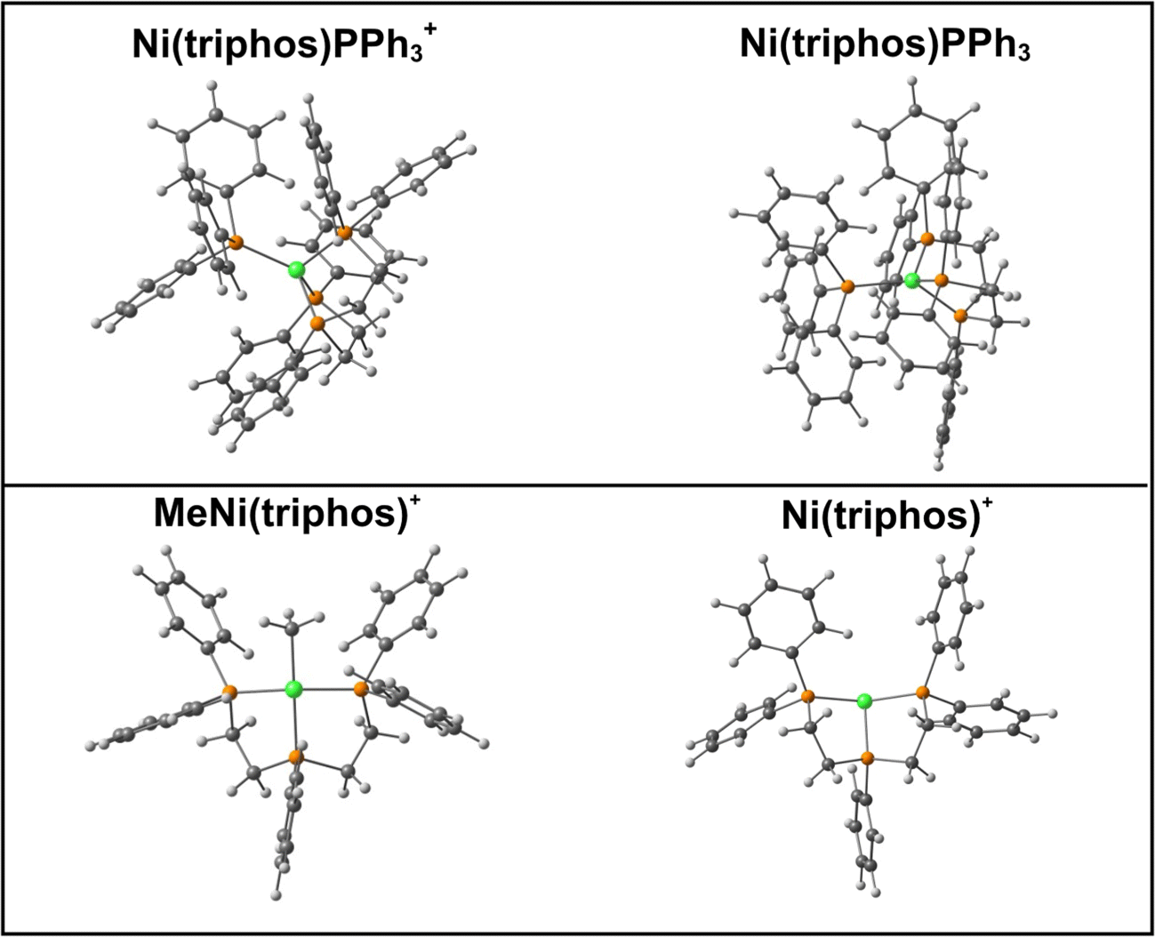 Theoretical study of cobalt and nickel complexes involved in methyl ...