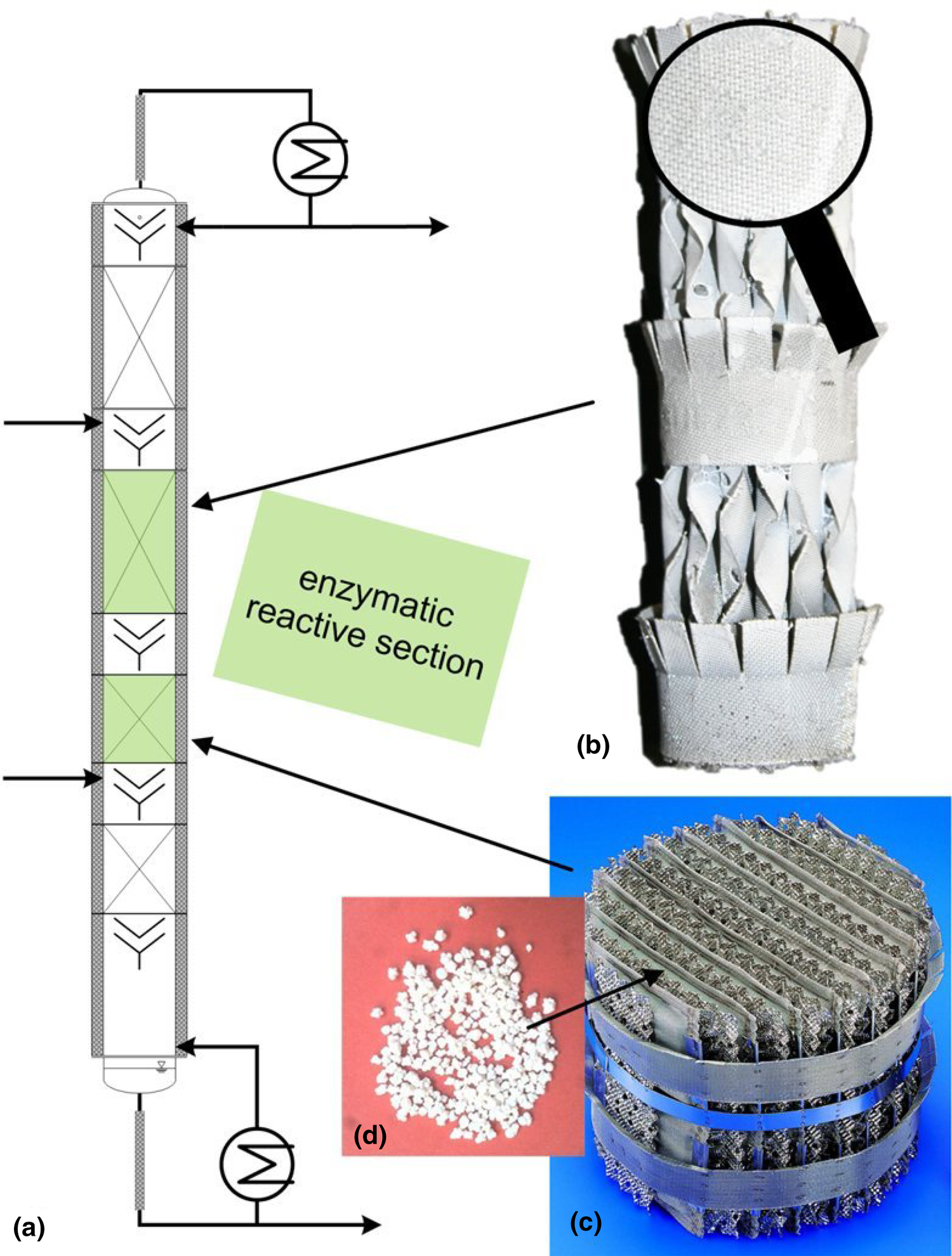 Novel Catalytic Reactive Distillation Processes for a Sustainable ...