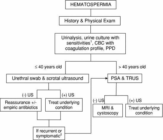 Hematospermia: etiological and management considerations | SpringerLink
