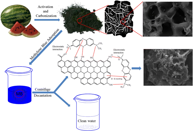 Adsorption of Methylene Blue by an Efficient Activated Carbon Prepared from Citrullus lanatus ...