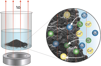 Stimulation of Heavy Metal Adsorption Process by Using a Strong ...