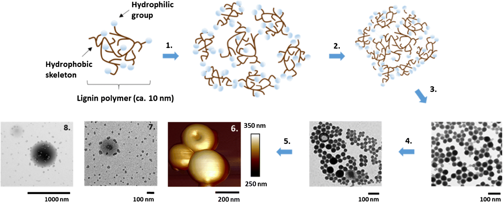 Chemo-enzymatically prepared lignin nanoparticles for value-added ...
