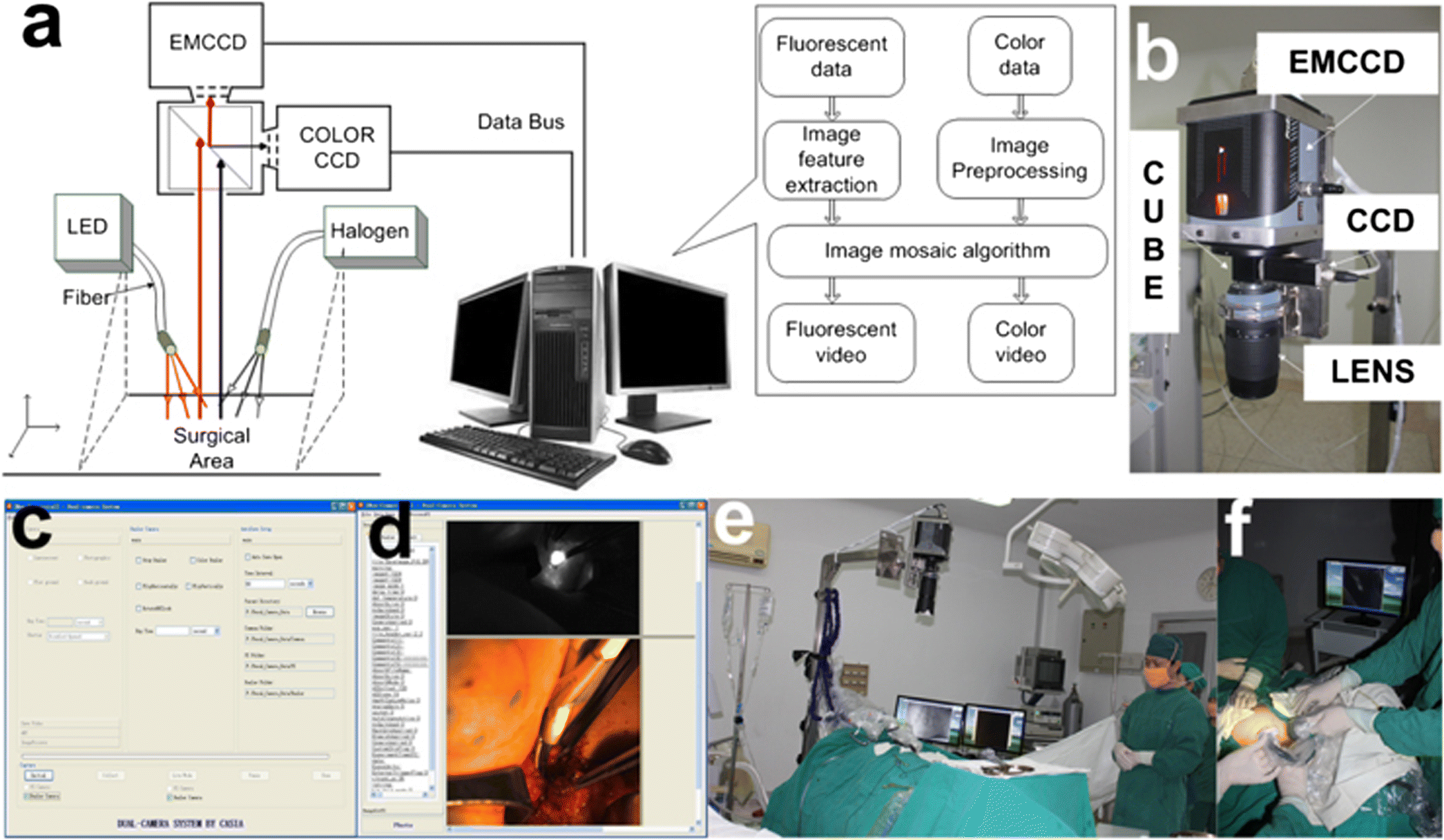 Detection of Sentinel Lymph Nodes with Near-Infrared Imaging in ...