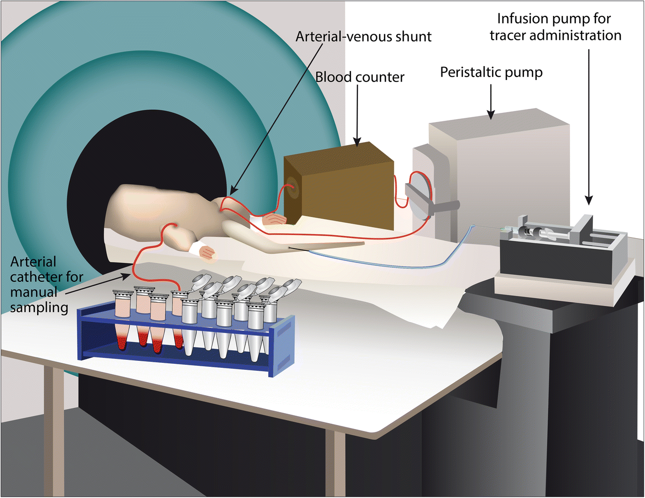 Quantitative Rodent Brain Receptor Imaging | SpringerLink