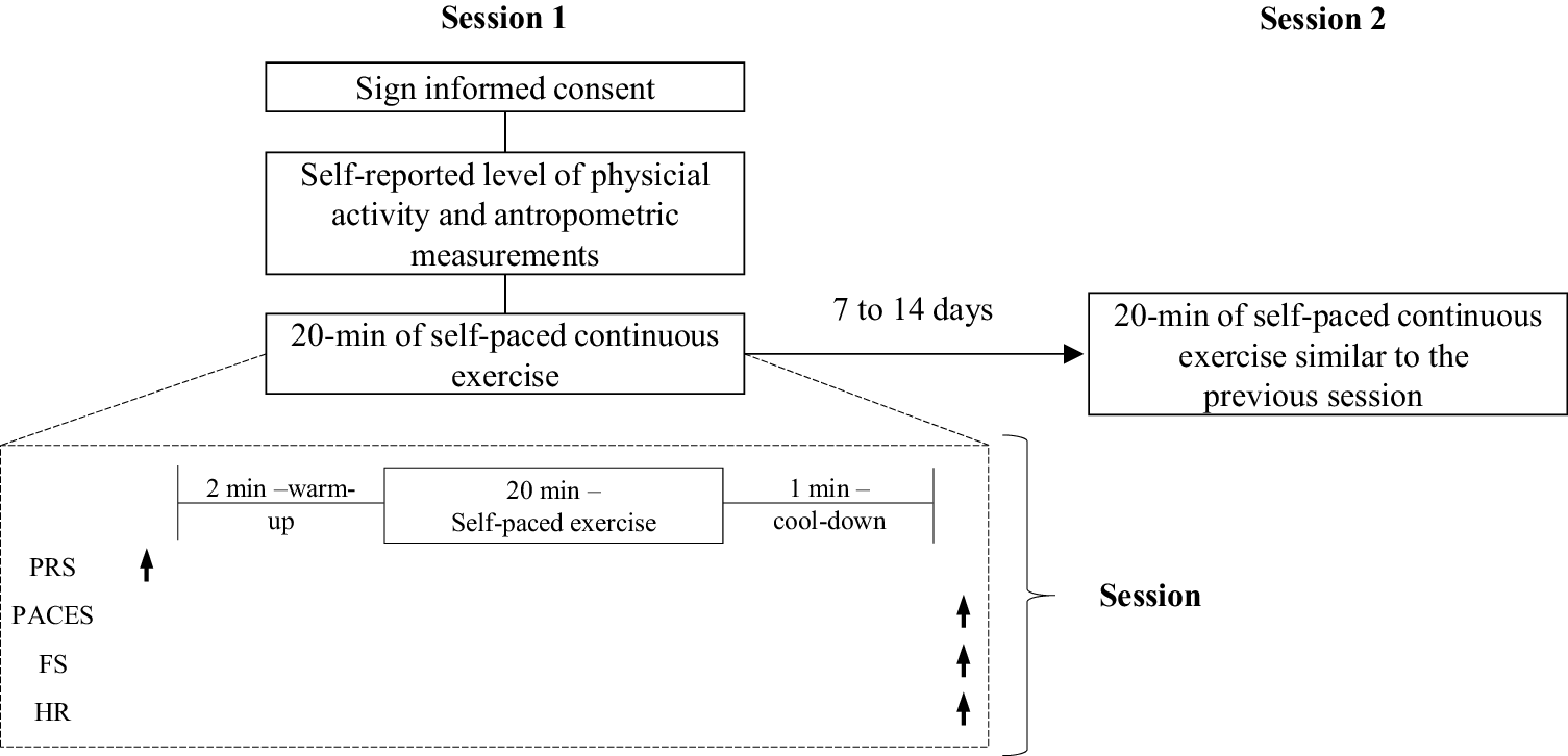 Translation, adaptation, and reproducibility of the Physical Activity ...