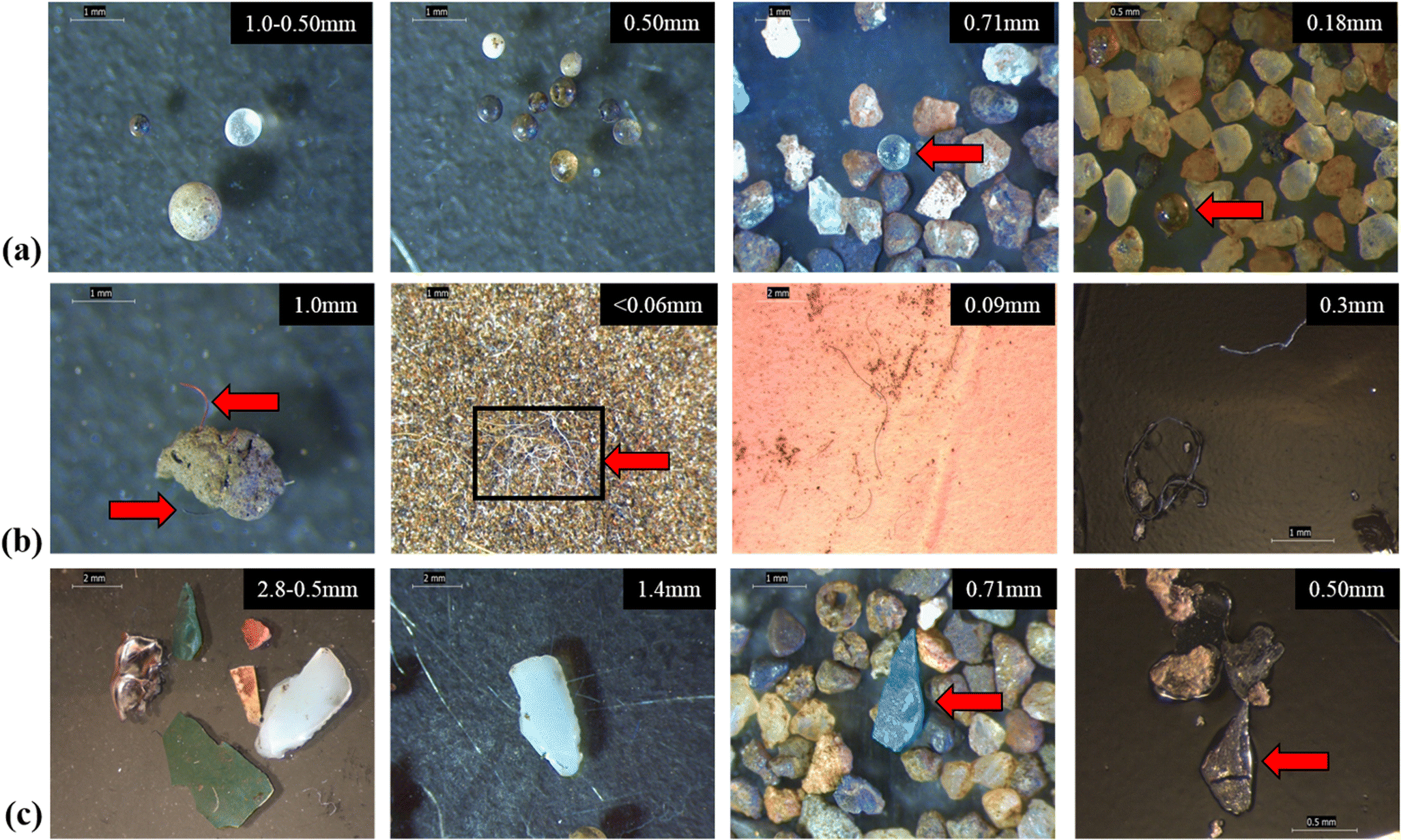 Microscopy and elemental analysis characterisation of microplastics in ...