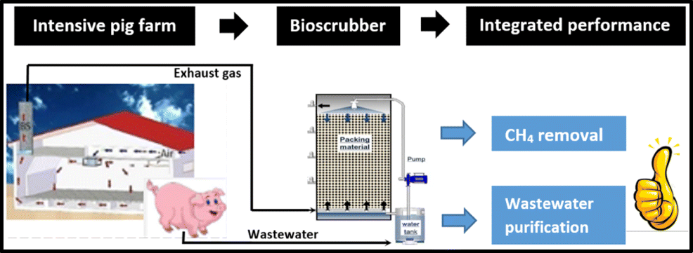 Optimisation of bioscrubber systems to simultaneously remove methane ...