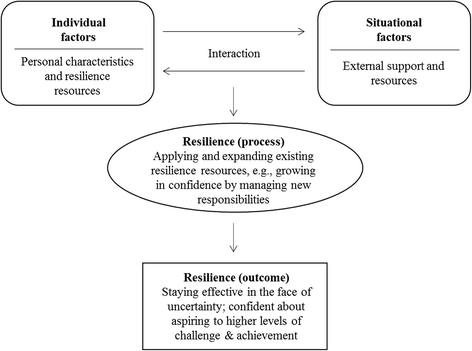 Entrepreneurial resilience: a biographical analysis of successful ...