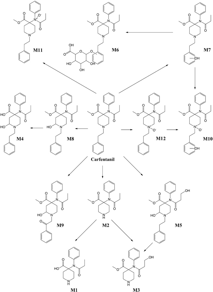 Fentanyls continue to replace heroin in the drug arena: the cases of ...