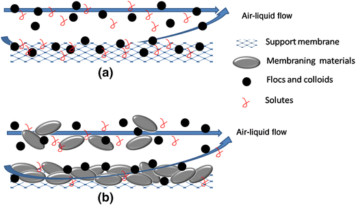 Characteristics of dynamic membrane filtration: structure, operation ...