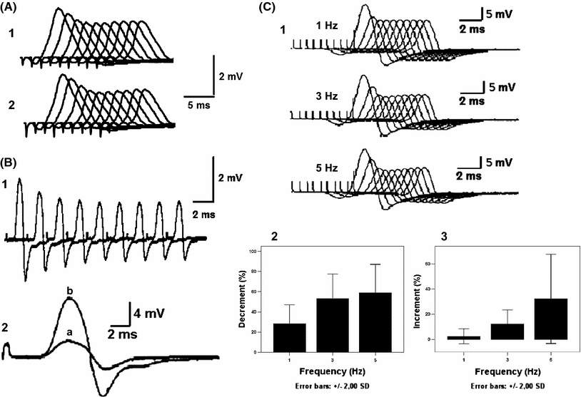 Modelling the response to low-frequency repetitive nerve stimulation of ...