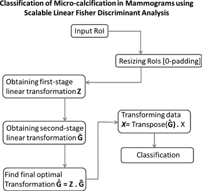 Classification of micro-calcification in mammograms using scalable linear Fisher discriminant ...