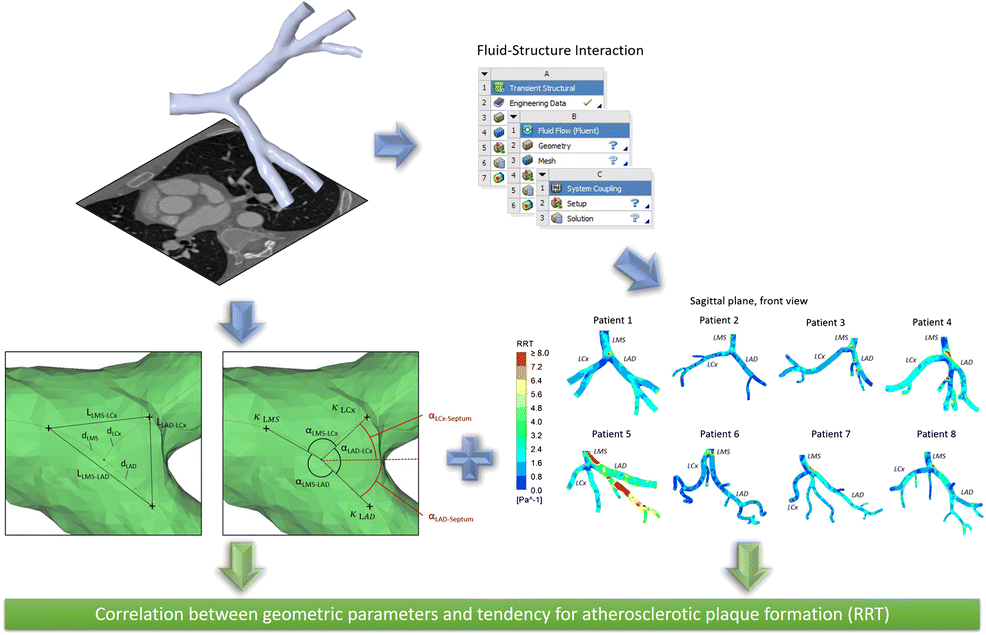 Correlation between geometric parameters of the left coronary artery ...
