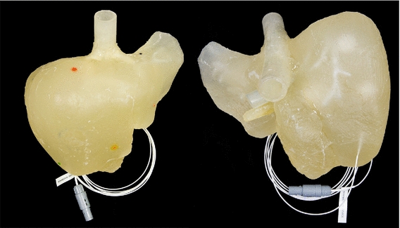 Anthropomorphic liver phantom with flow for multimodal image-guided ...