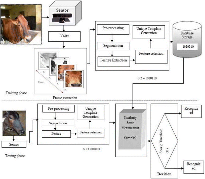 Real-time recognition of cattle using animal biometrics | SpringerLink