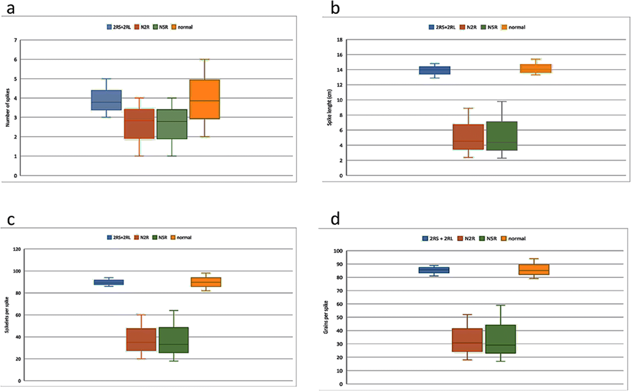 Spike morphology alternations in androgenic progeny of hexaploid ...