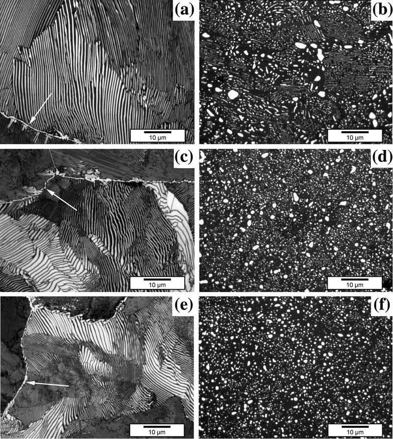 The Cementite Spheroidization Process in High-Carbon Steels with ...