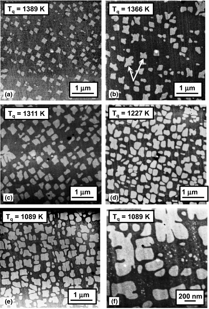An Investigation of High-Temperature Precipitation in Powder-Metallurgy ...
