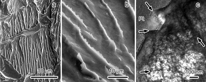 Hydrogen Embrittlement Understood | SpringerLink