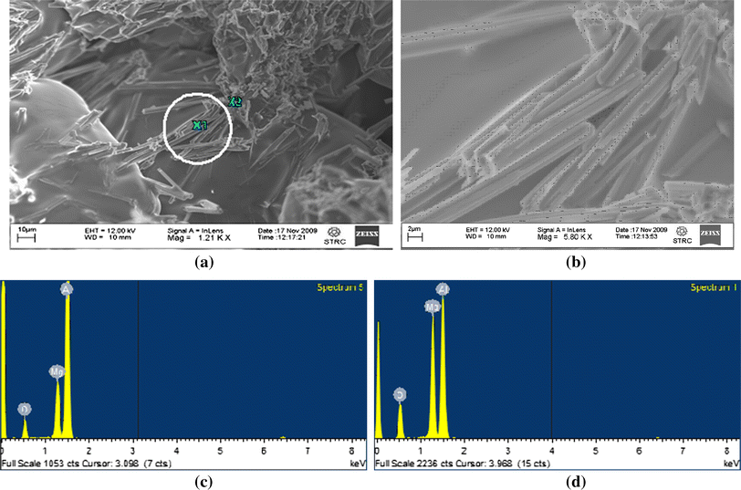 Whisker Formation in Porosity in Al Alloys | SpringerLink