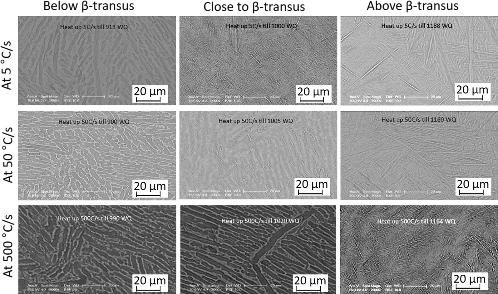 Microstructural Modeling of the α + β Phase in Ti-6Al-4V: A Diffusion ...