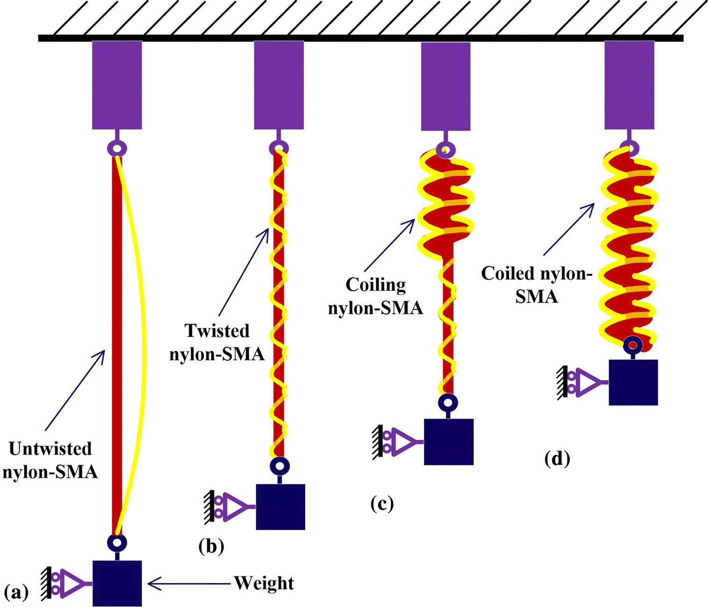 Fabrication and Properties of Composite Artificial Muscles Based on ...