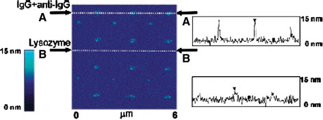 Bio-nanopatterning of Surfaces | SpringerLink