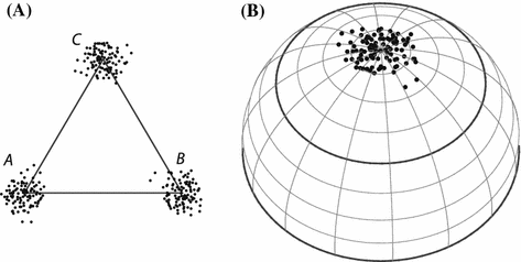 Advances in Geometric Morphometrics | SpringerLink