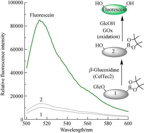Dual enzyme activated fluorescein based fluorescent probe | SpringerLink