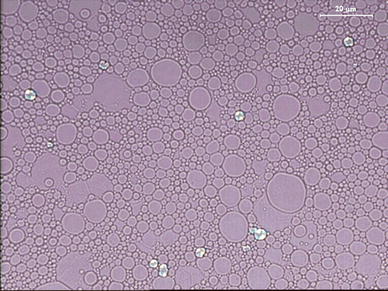 Flow Behavior of Oleic Acid Liposomes in Sucrose Ester Glycolipid Oil ...
