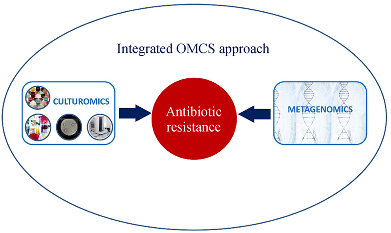 Culturomics and metagenomics: In understanding of environmental ...