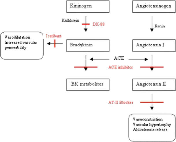 ACE Inhibitor–Induced Angioedema | SpringerLink