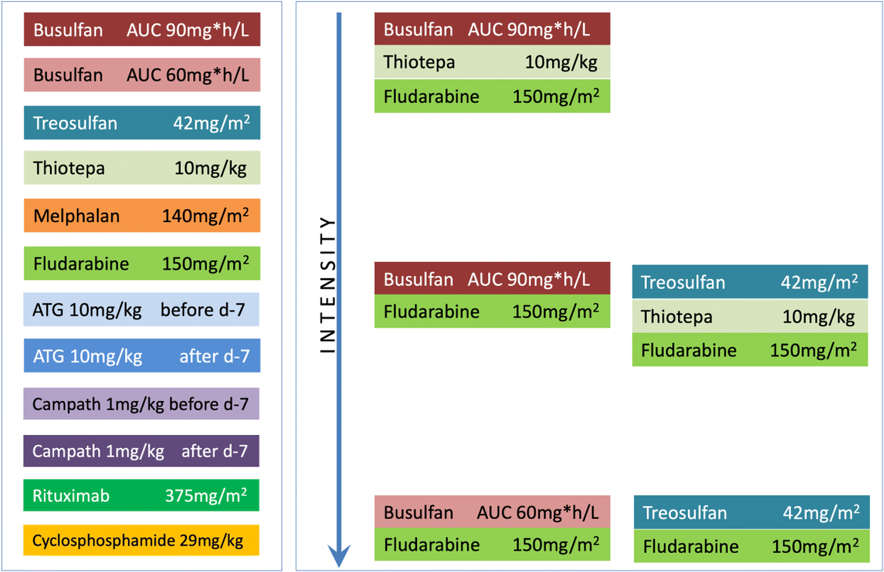 Conditioning Regimens for Hematopoietic Cell Transplantation in Primary ...