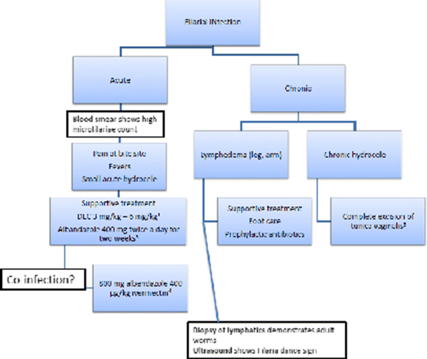 Genital Filariasis Review | SpringerLink