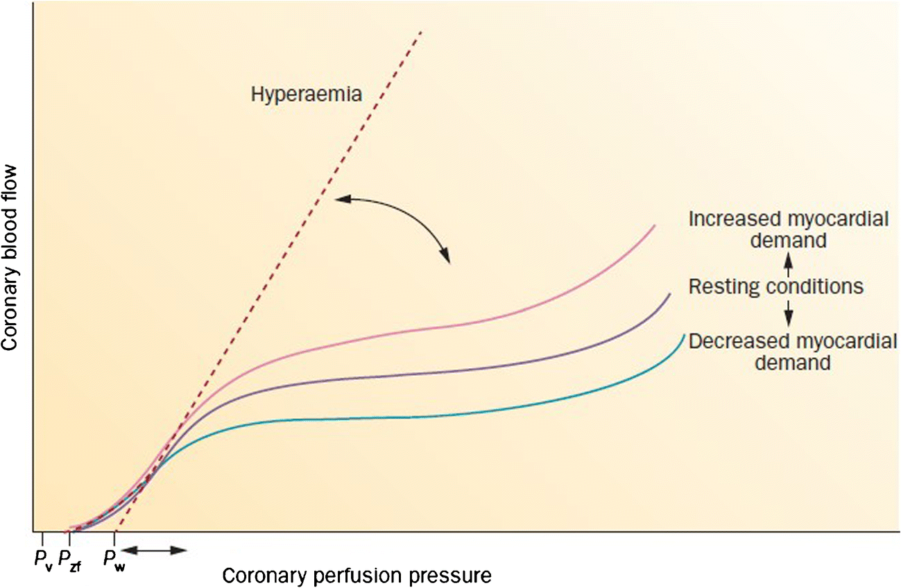 Fractional Flow Reserve or Coronary Flow Reserve for the Assessment of ...