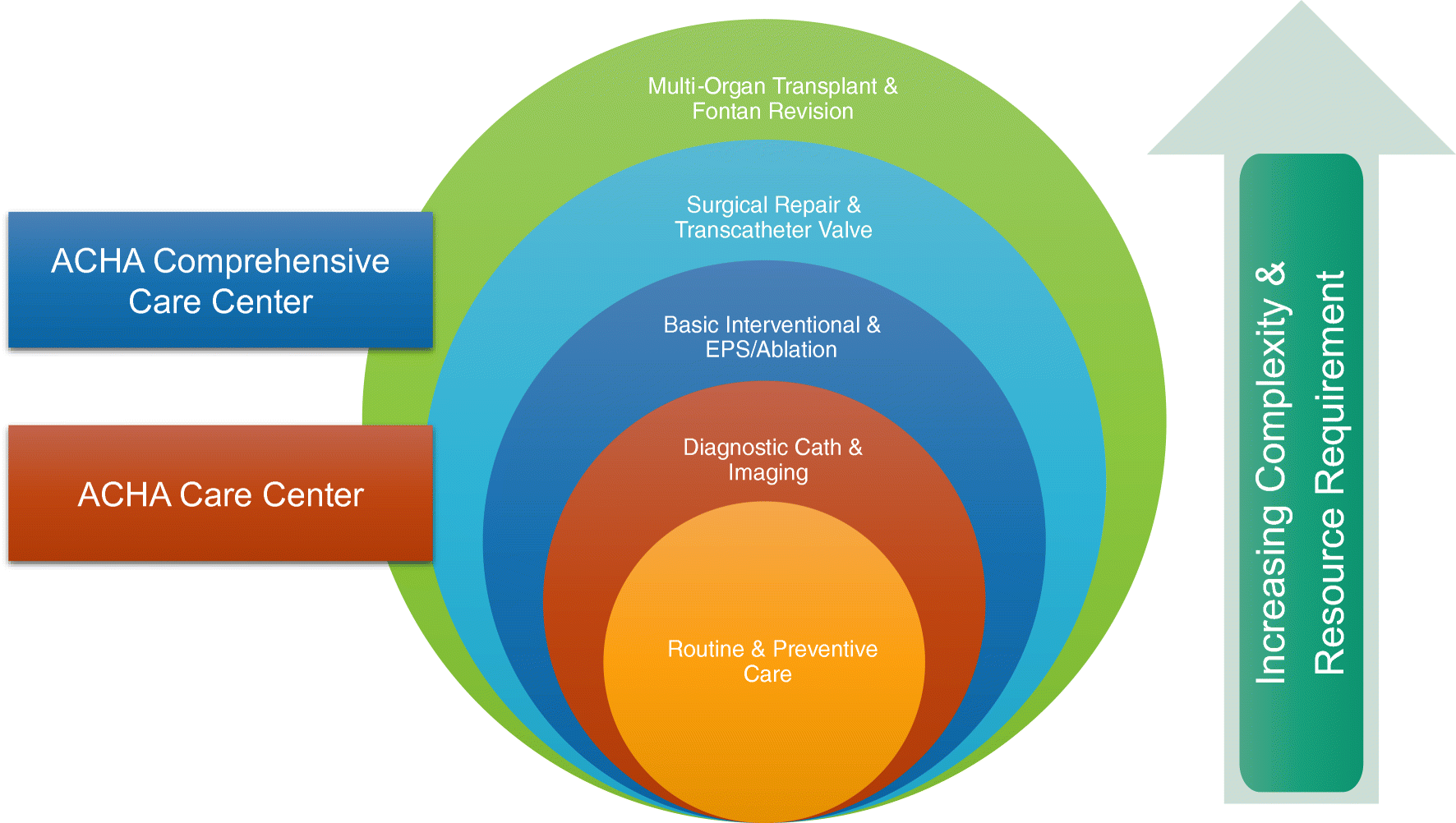 Building an Adult Congenital Heart Program: Critical Components and ...