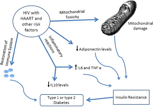 Diabetes and HIV: Current Understanding and Future Perspectives ...
