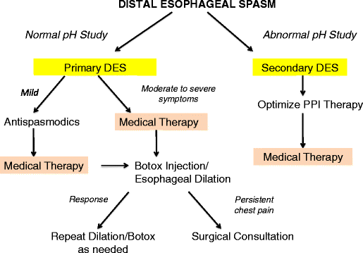 Distal Esophageal Spasm: An Update | SpringerLink