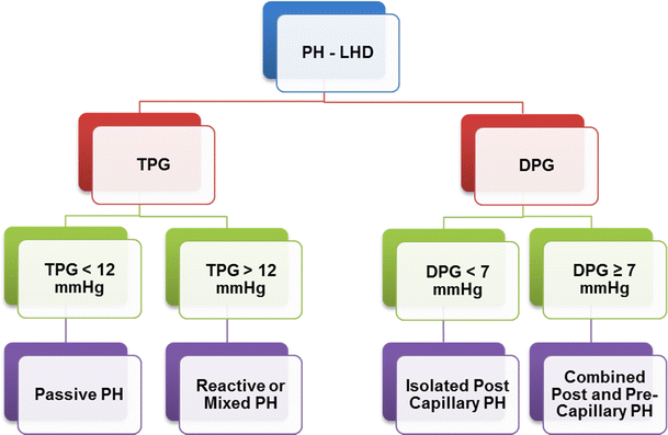 Evolving Concepts of Pulmonary Hypertension Secondary to Left Heart ...