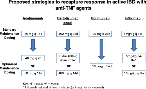 Approach to Optimize Anti-TNF-α Therapy in Patients With IBD | SpringerLink